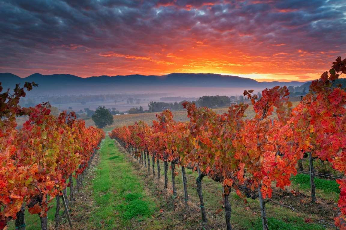 Hikma n°56 – Ibn ‘Atâ’i -Llâh Al-Iskandarî commenté par Ahmad Ibn Ajiba ...